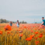 Taal en taaldiversiteit in Albanie - Albanië Vakantie